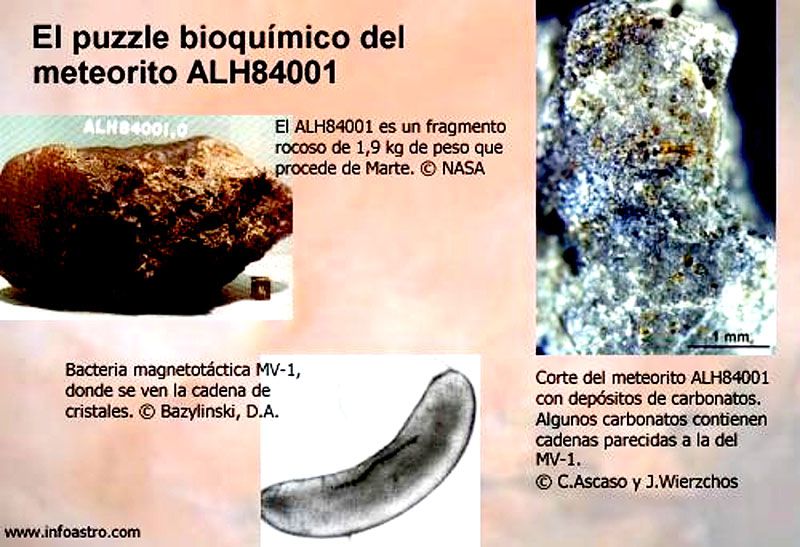 Hallan un meteorito marciano con presuntos restos de vida | Diario del ...